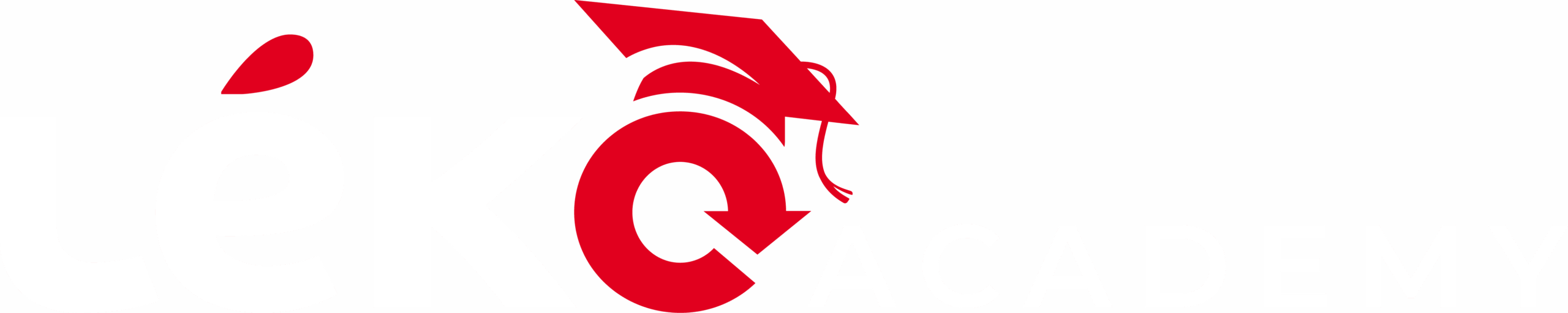 Léko - The eco-organization for responsible companies